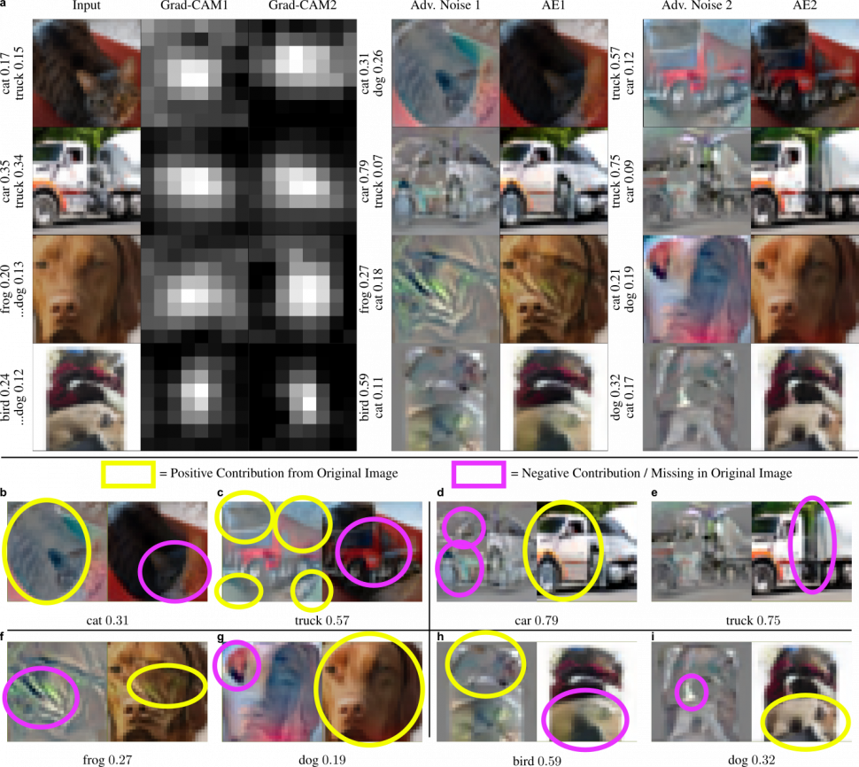 Adversarial Explanations For Understanding Image Classification Decisions And Improved Neural
