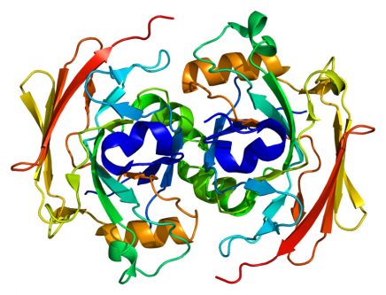 Machine-learning-guided directed evolution for protein engineering ...
